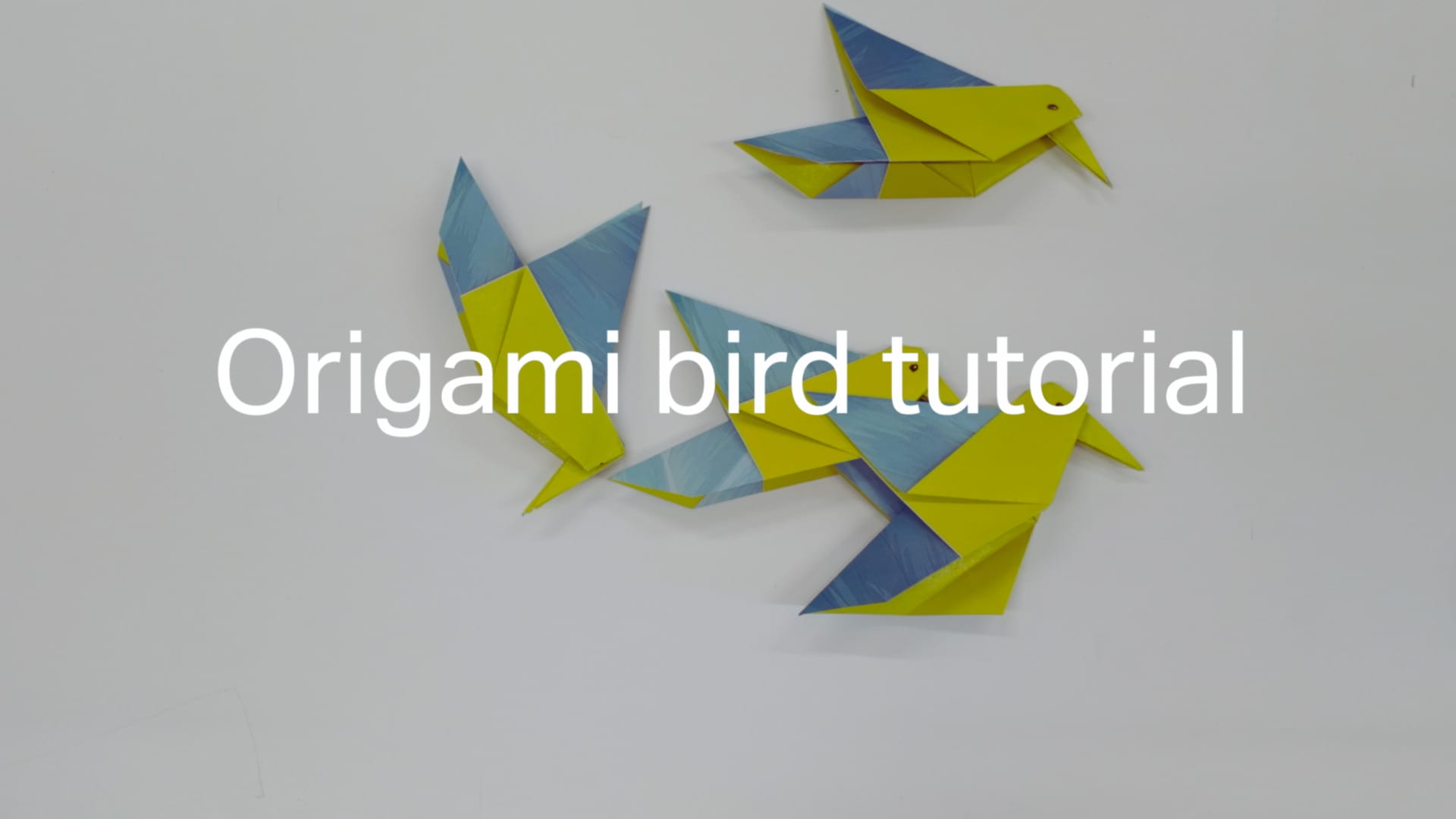 Make an origami bird - Orchestra of the Age of Enlightenment