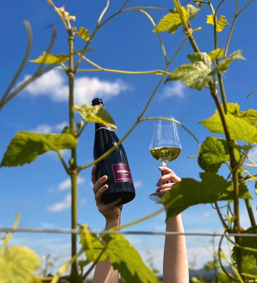 Announcing Our 2025/26 Season Wine Partner: Ambriel - Orchestra of the ...